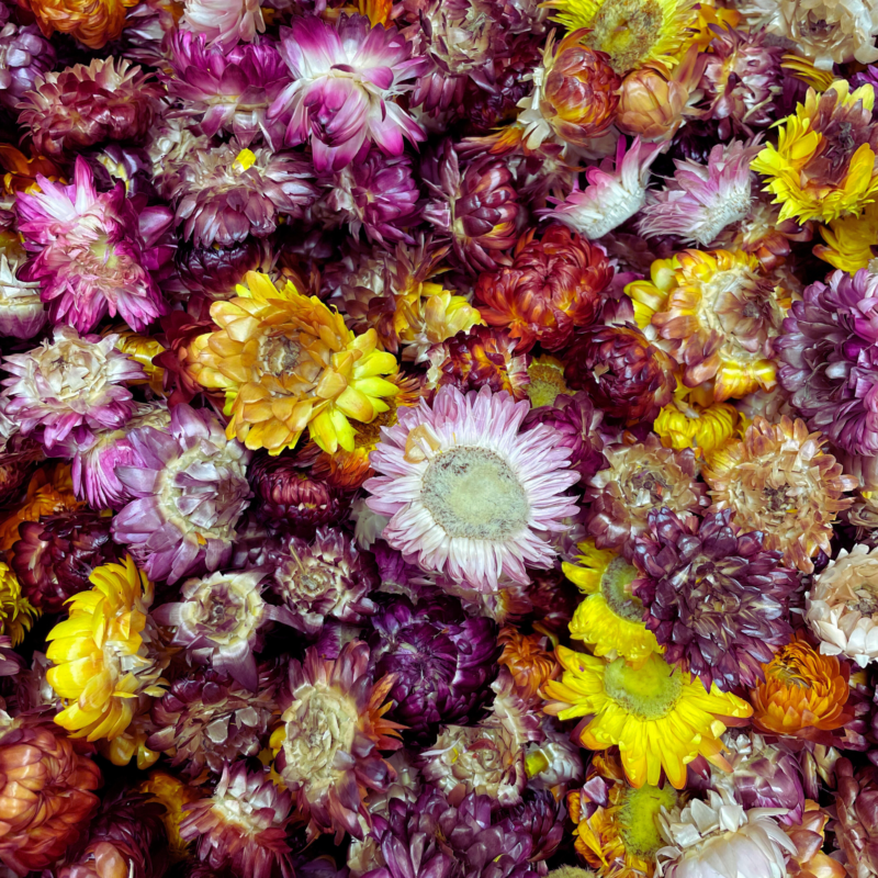 Dried Edible Flowers | For Cocktails & More | Drink Botanicals Ireland